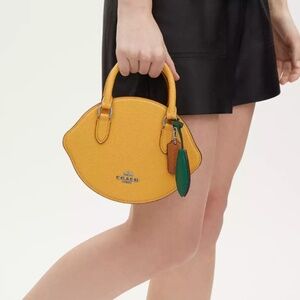 Coach | Bags | Coach Lemon Crossbody | Poshmark